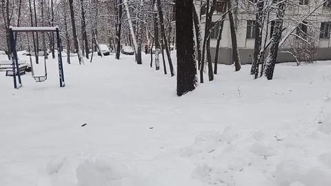 Snow White Russian Stock Videos – Royalty-Free HD & 4K Videos