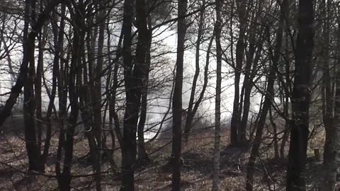 Fogi Army Stock Videos – Royalty-Free HD & 4K Videos