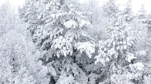 Snow White Russian Stock Videos – Royalty-Free HD & 4K Videos