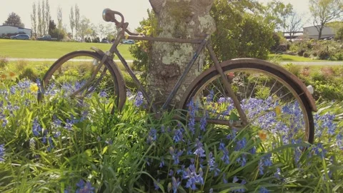 Rusty abandoned bike in spring flowers. ... | Stock Video | Pond5