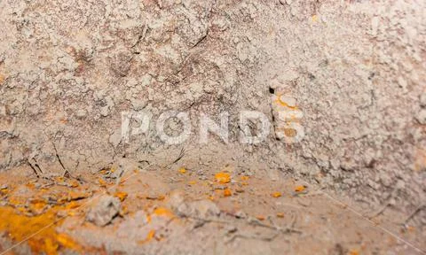 Rusty background, hd rusty wallpaper ~ Hi Res #157881783