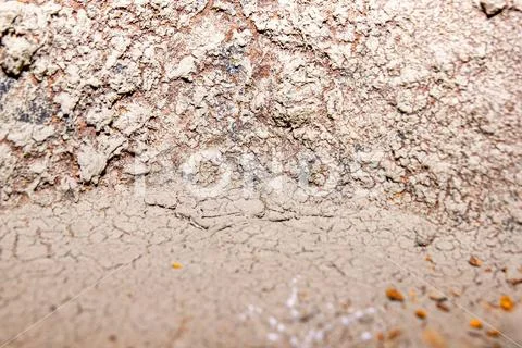 Rusty background, hd rusty wallpaper ~ Hi Res #157881943