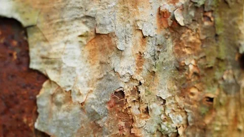 Metal Corrosion Texture Stock Videos – Royalty-Free HD & 4K Videos | Pond5