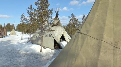 Lapp Stock Video Footage | Royalty Free Lapp Videos | Pond5