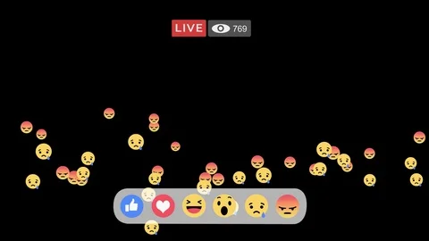 Sayd Video Stock Videos – Royalty-Free HD & 4K Videos | Page 5