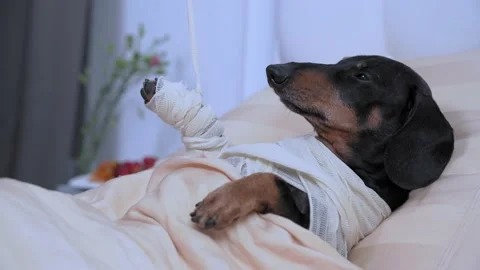 Broken Leg Hospital Stock Footage ~ Royalty Free Stock Videos | Page 9