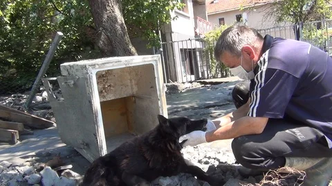Sad man is crying over his dead dog who ... | Stock Video | Pond5