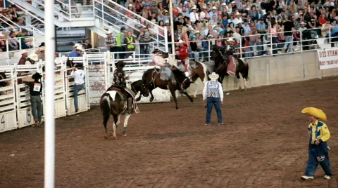 Rodeo Rigde Stock Videos – Royalty-Free HD & 4K Videos