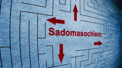 Maze Stock Video Footage | Royalty Free Maze Videos | Pond5