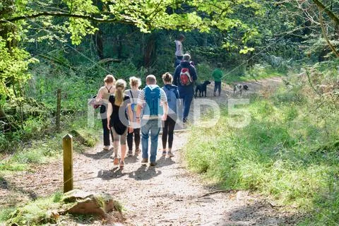 SAFE OUTDOOR ACTIVITIES BECOMING INCREASINGLY POPULAR ~ Premium Photo ...