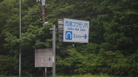 Saiko Bat Cave road sign at Aokigahara J... | Stock Video | Pond5