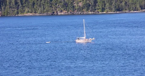 Sailboat coastal Ketchikan Alaska 4K | Stock Video | Pond5