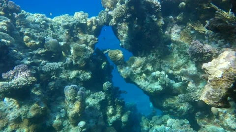 Sailing through a rift in a coral reef i... | Stock Video | Pond5