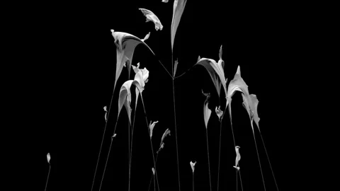 Greek Air Mythology Stock Videos – Royalty-Free HD & 4K Videos