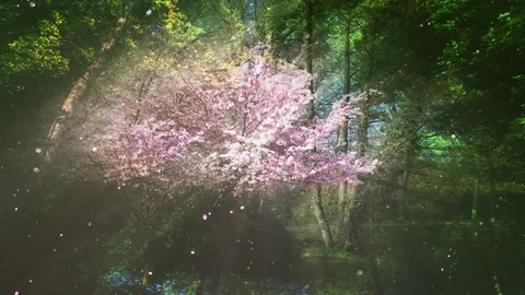 Fantasy Landscape Stock Footage ~ Royalty Free Stock Videos | Pond5