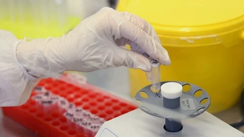 Research Process Stock Footage ~ Royalty Free Stock Videos | Pond5