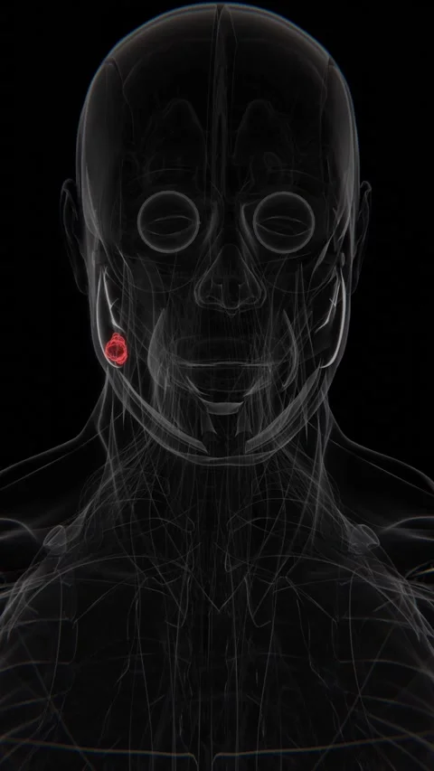 Salivary Gland Cancer Cell in Vertical H... | Stock Video | Pond5