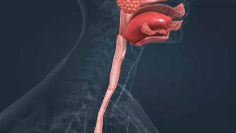 Human Saliva Stock Footage ~ Royalty Free Stock Videos | Pond5