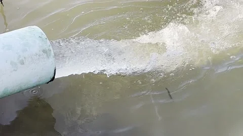 Salmon Stocking Stock Videos – Royalty-Free HD & 4K Videos | Pond5