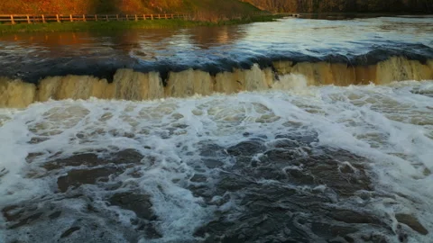 Salmon vs. Waterfall: A Willpower Battle... | Stock Video | Pond5