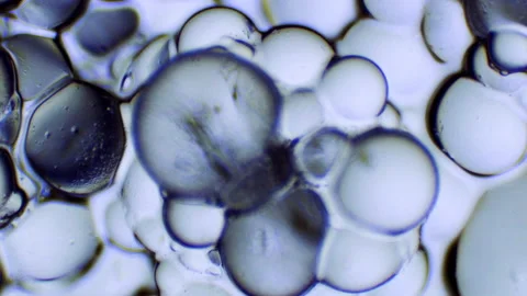 Polymer Stock Footage ~ Royalty Free Stock Videos | Pond5