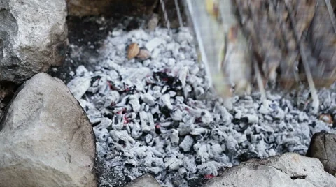 Saltwater fish on grid barbecue | Stock Video | Pond5