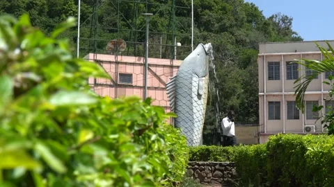 Samaki fish corner, roundabout in Mwanza... | Stock Video | Pond5