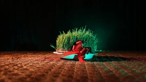 Samani growing on plate on eastern carpe... | Stock Video | Pond5