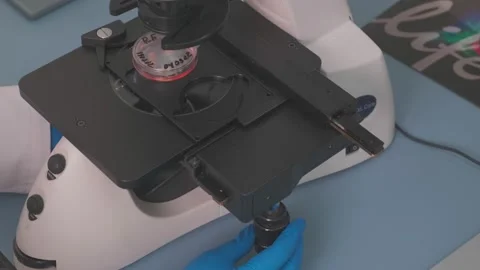 A sample of a substance is observed unde... | Stock Video | Pond5