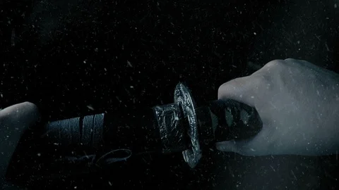 Ninja Stock Footage ~ Royalty Free Stock Videos | Pond5