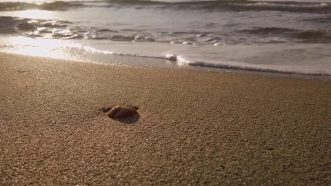 General On Sand Stock Videos – Royalty-Free HD & 4K Videos | Pond5