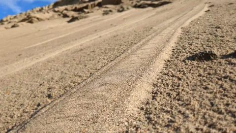 Quicksand Stock Videos – Royalty-Free HD & 4K Videos