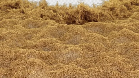 Sand Realistic Transition | Stock Video | Pond5