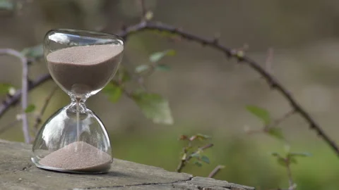 Time Running Nature 4K Stock Footage ~ Royalty Free Stock Videos | Pond5