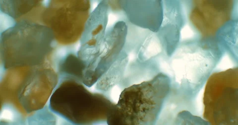 Sand Under Microscope Stock Videos – Royalty-Free HD & 4K Videos