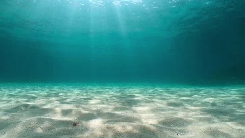 Sand underwater on the ocean floor with ... | Stock Video | Pond5