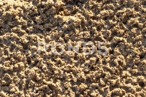 Sandy beach background. Detailed sand texture. Stock Photo #233071330