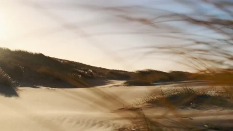 Sandy Beach With Grasses Blowing In Wind... | Stock Video | Pond5