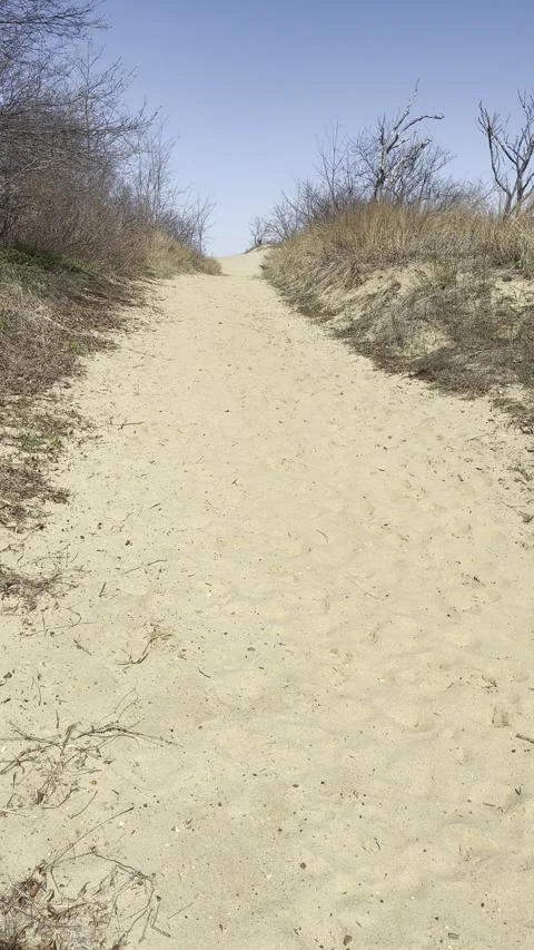 Sandy Beach Path, Coastal Nature Backgro... | Stock Video | Pond5