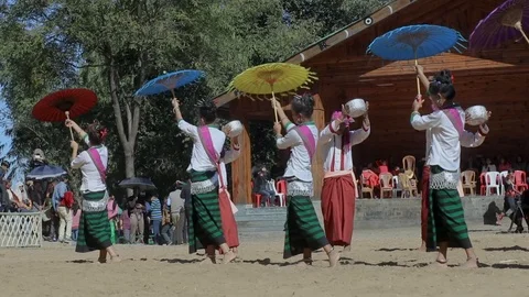 Mog Stock Footage ~ Royalty Free Stock Videos | Pond5