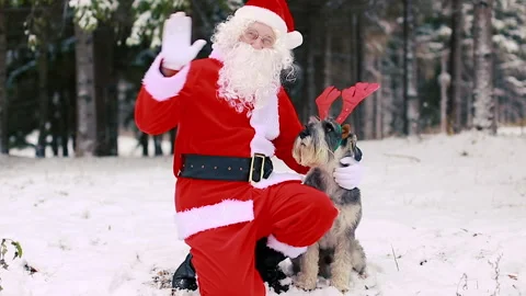 Santa Claus sat down hugging the dog | Stock Video | Pond5