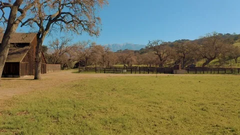 Back Road Birding Stock Videos – Royalty-Free HD & 4K Videos