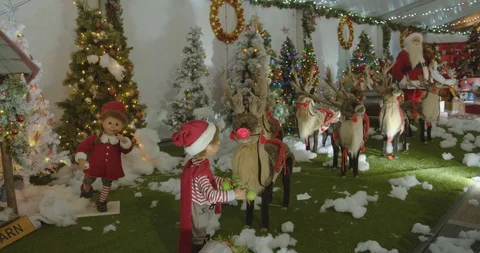 Santa's elves feeding the reindeer in th... | Stock Video | Pond5