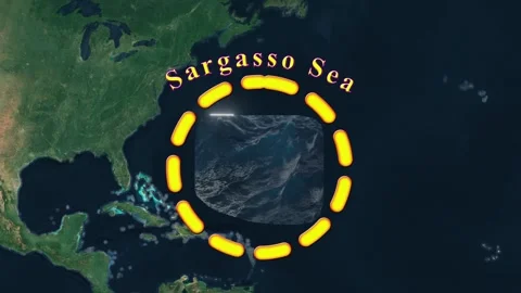 Sargasso Sea Map | Stock Video | Pond5