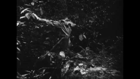 Tickling Back Stock Videos – Royalty-Free HD & 4K Videos