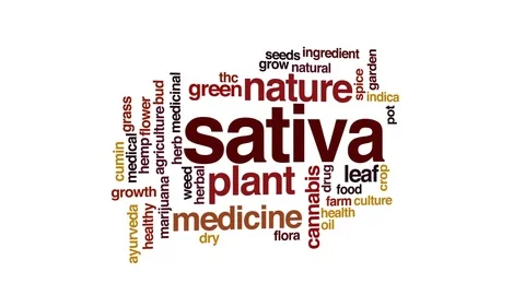 Sativa animated word cloud, text design ... | Stock Video | Pond5
