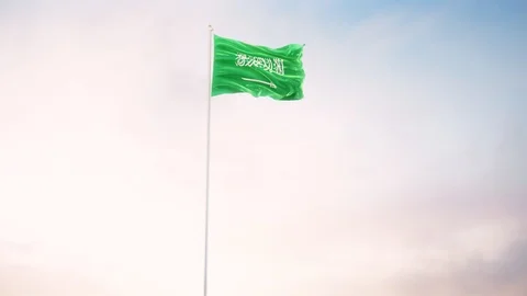 Airplane Landing Saudi Arabia Stock Videos – Royalty-Free HD & 4K Videos