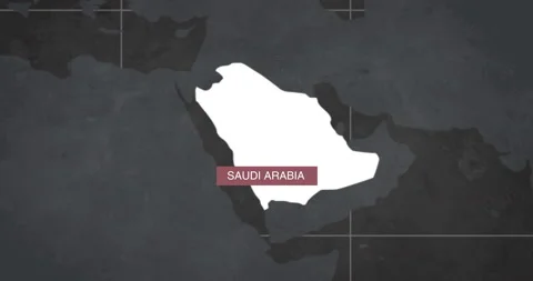 Saudi Arabia Infographic Stock Footage ~ Royalty Free Stock Videos | Pond5