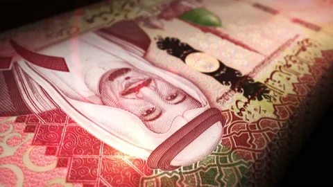 Saudi Arabia Riyal money counting seamle... | Stock Video | Pond5