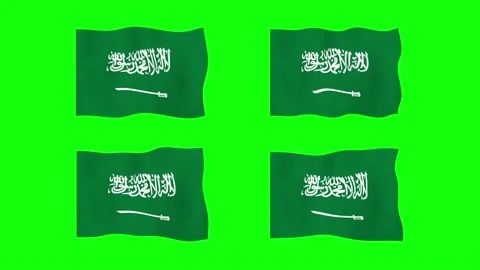 Saudi Arabia Waving Flag 2D Animation on... | Stock Video | Pond5